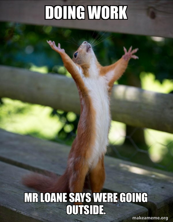 Doing Work Mr Loane says were going outside. - Happy Squirrel Meme ...