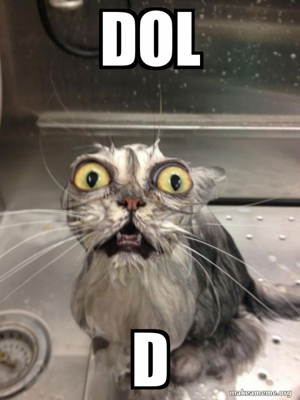 dol d - Cat bath Meme Generator