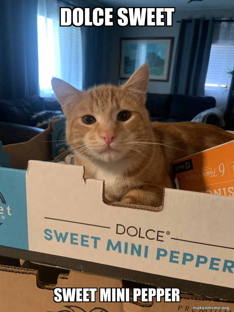 Dolce sweet Sweet mini pepper Meme Generator