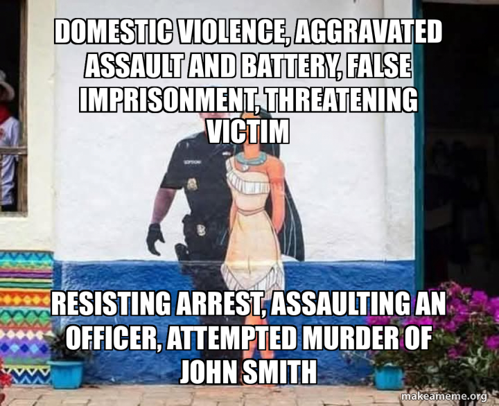 Domestic Violence, aggravated assault and battery, false imprisonment ...