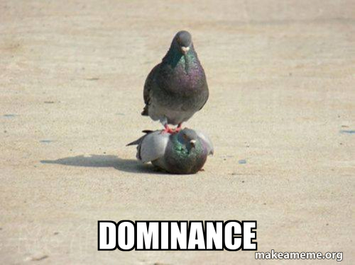 DOMINANCE Meme Generator