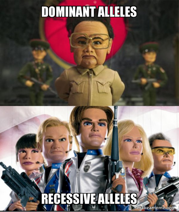 Dominant alleles Recessive alleles - Team America Meme Generator