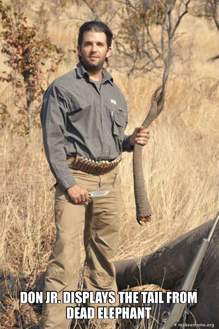 Don jr. displays the tail from dead elephant Meme Generator