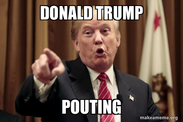 Donald Trump Pouting - Donald Trump Says Meme Generator