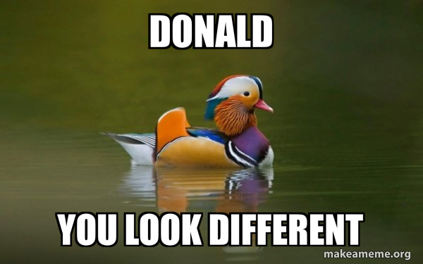 Donald you look different - Fashionable Advice Mallard Meme Generator