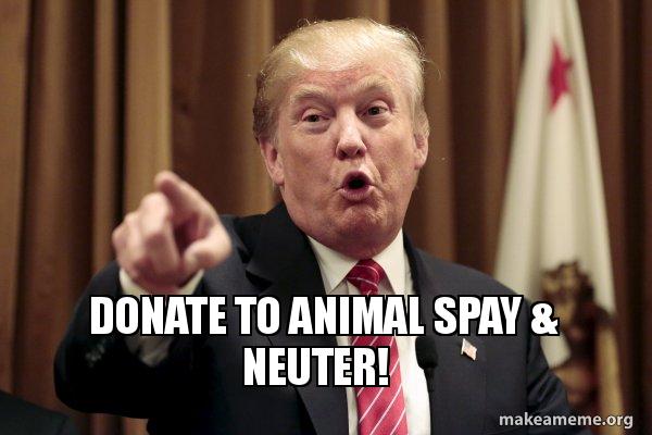 Donate to Animal Spay & Neuter! - Donald Trump Says Meme Generator
