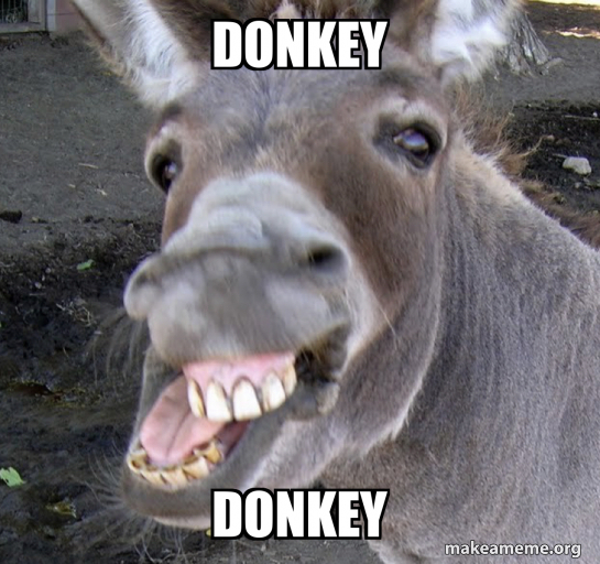 donkey donkey Meme Generator