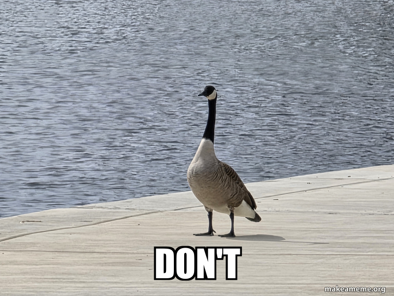 Don't Meme Generator