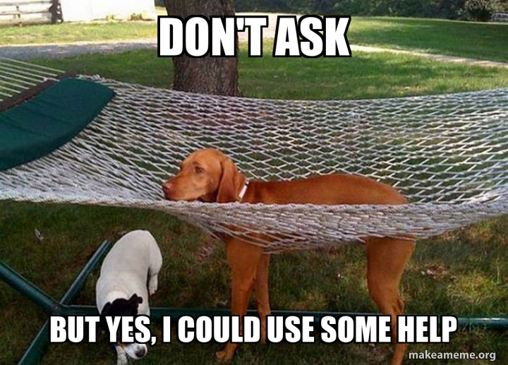 Don't Ask but yes, I could use some help Meme Generator