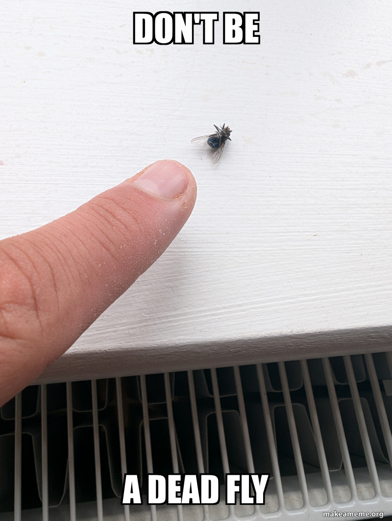 don't be A dead fly Meme Generator