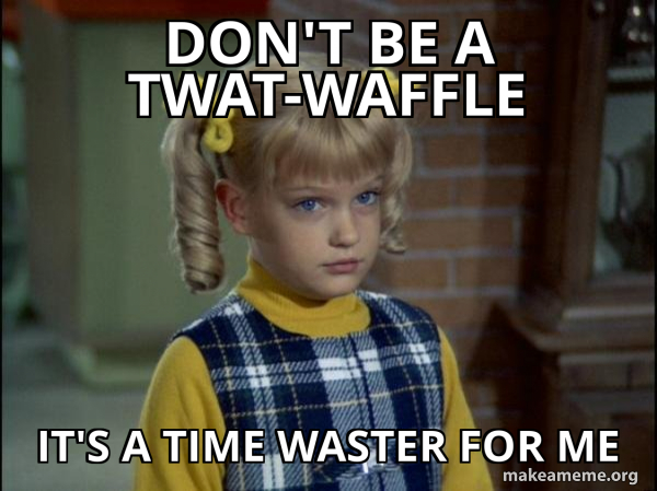 Don't be a Twat-Waffle It's a time waster for me - Cindy Brady Meme ...
