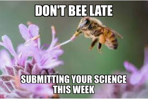 Don't bee late submitting your science this week Meme Generator