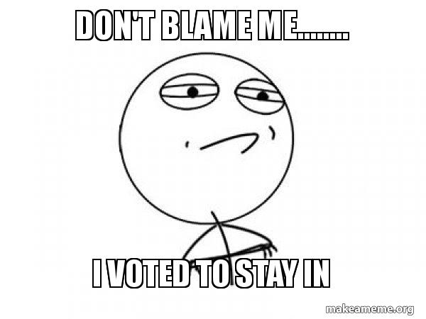 Don't Blame Me........ I Voted to Stay IN - Challenge Acccepted Meme ...