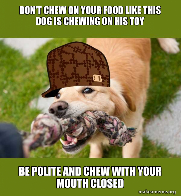 Don't chew on your food like this dog is chewing on his toy Be polite ...