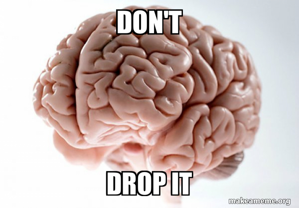 don't drop it - Scumbag Brain Meme Generator
