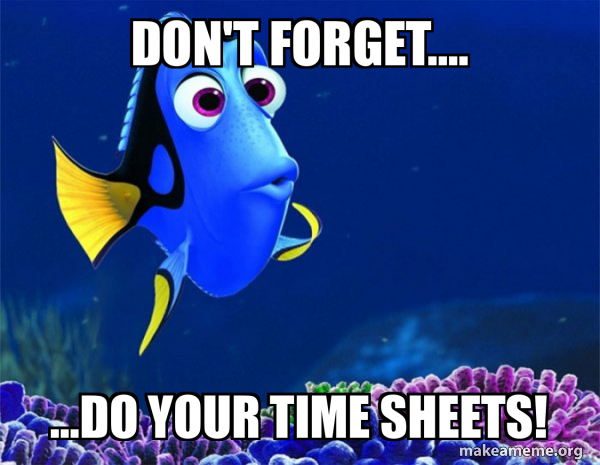 Don't forget.... ...do your TIME SHEETS! - Dory from Nemo (5 second ...