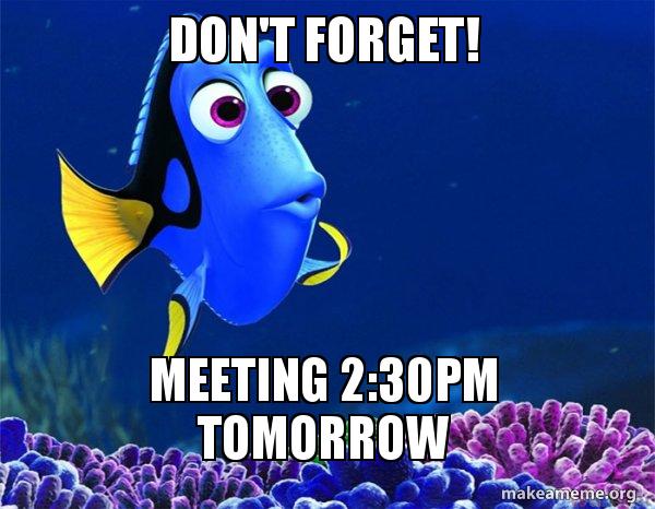 Don't forget! Meeting 2:30pm tomorrow - Dory from Nemo (5 second memory ...
