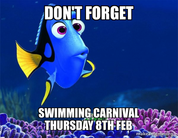 Don't Forget Swimming Carnival Thursday 8th Feb - Dory from Nemo (5 ...