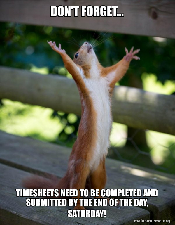 Don't forget... Timesheets need to be completed and submitted by the ...