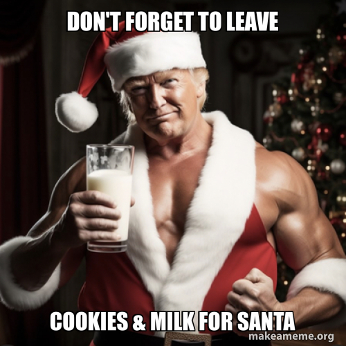 don't forget to leave cookies & milk for santa Meme Generator