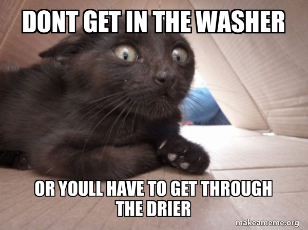 DONT GET IN THE WASHER OR YOULL HAVE TO GET THROUGH THE DRIER - Schitzo ...