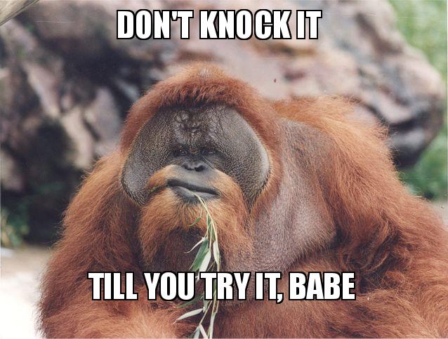 Don't knock it Till you try it, babe Meme Generator