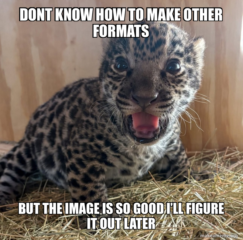 dont know how to make other formats but the image is so good i’ll ...