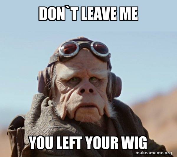 Don`t leave me You left your wig - The Mandalorian - I Have Spoken Meme ...