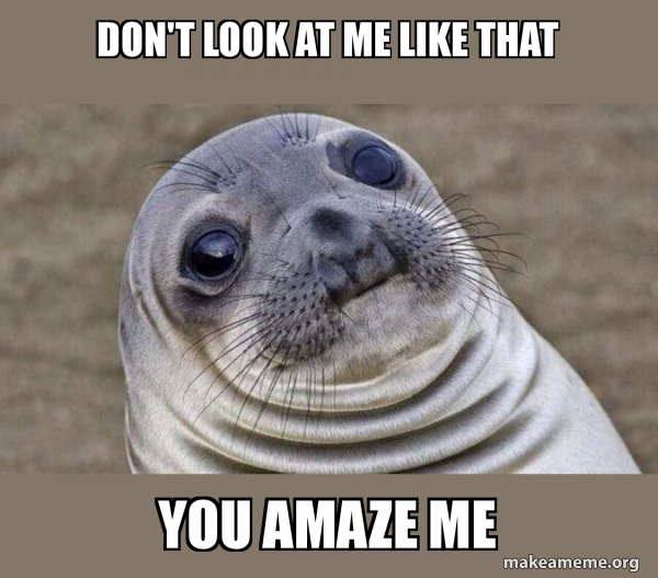 Don't look at me like that you amaze me - Squeamish Seal Meme Generator