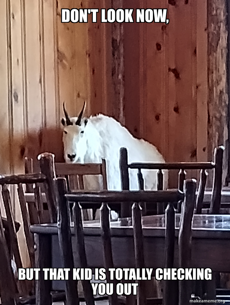 Don't look now, But that kid is toTALLY checking you out Meme Generator