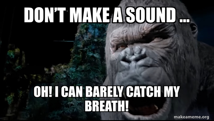 Don’t make a sound … Oh! I can barely catch my breath! Meme Generator