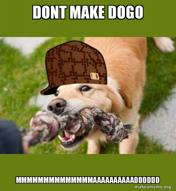DONT MAKE DOGO MMMMMMMMMMMMMMAAAAAAAAAADDDDDD - Scumbag dog Meme Generator