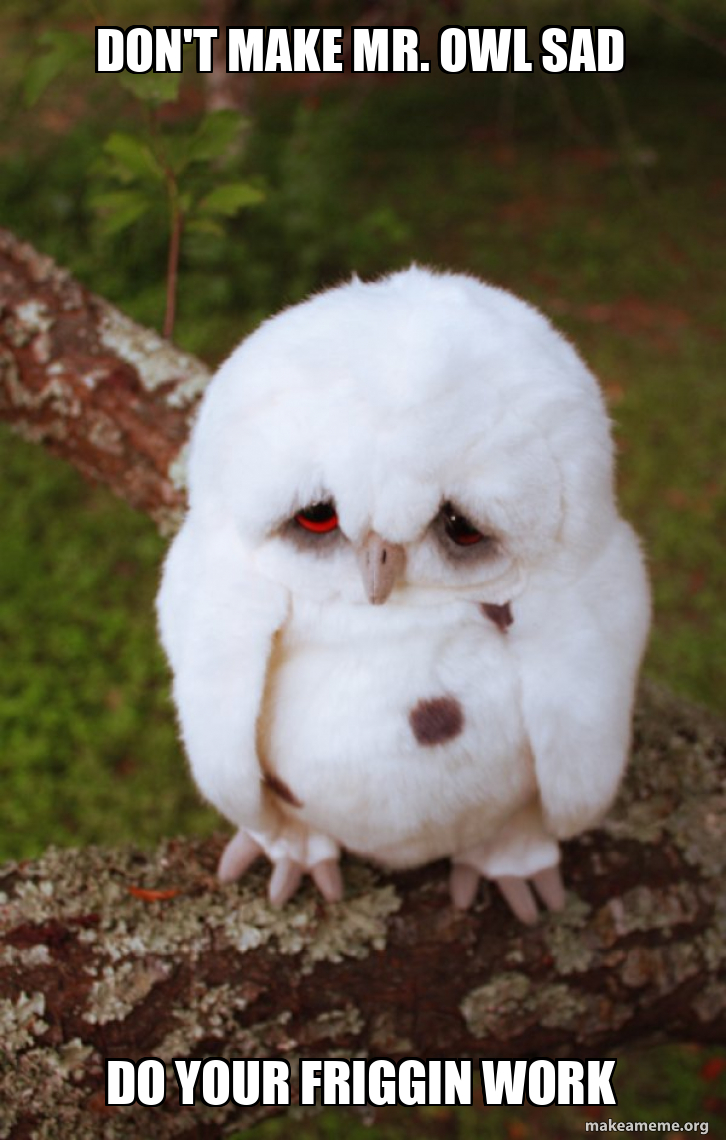 Don't make Mr. Owl sad DO YOUR FRIGGIN WORK - Sad Owl Meme Generator