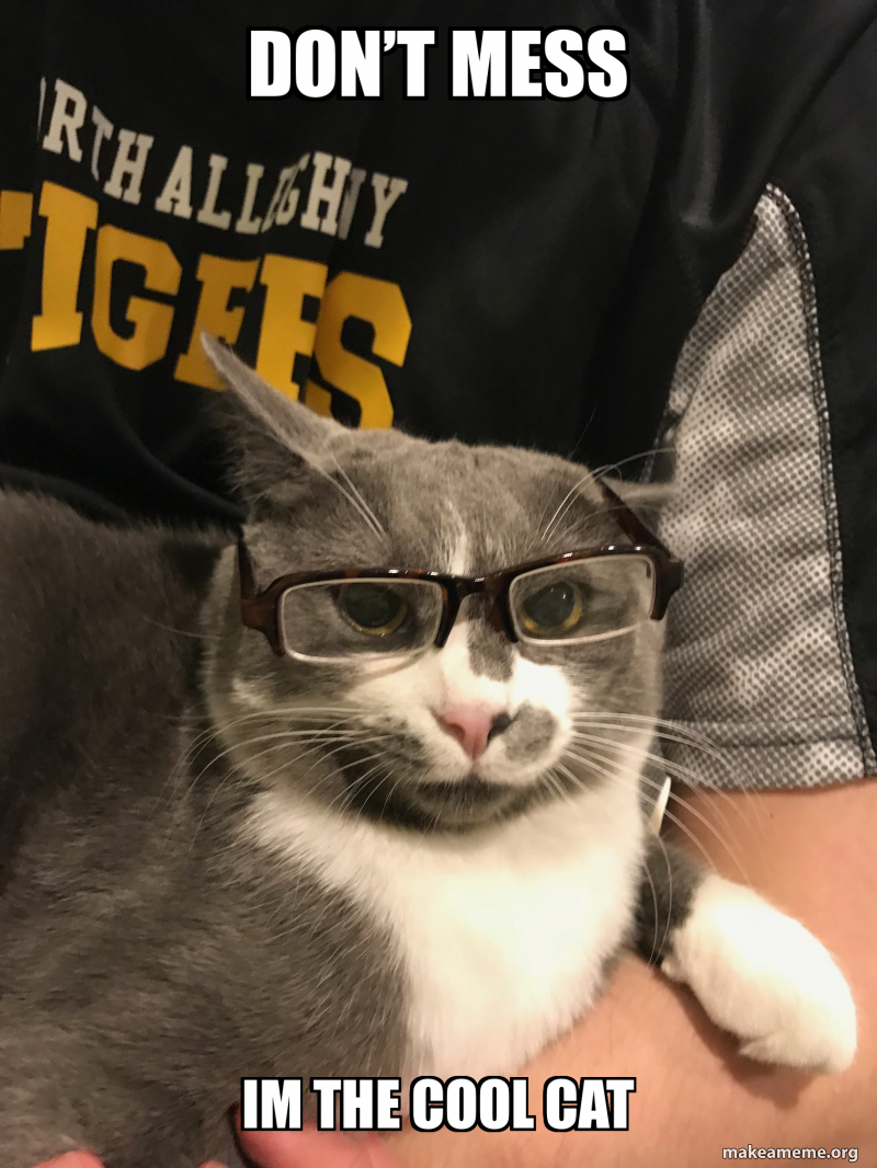 Don’t mess Im the cool cat Meme Generator