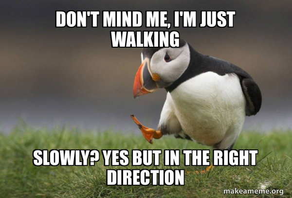 DON'T MIND ME, I'M JUST WALKING SLOWLY? YES BUT IN THE RIGHT DIRECTION ...
