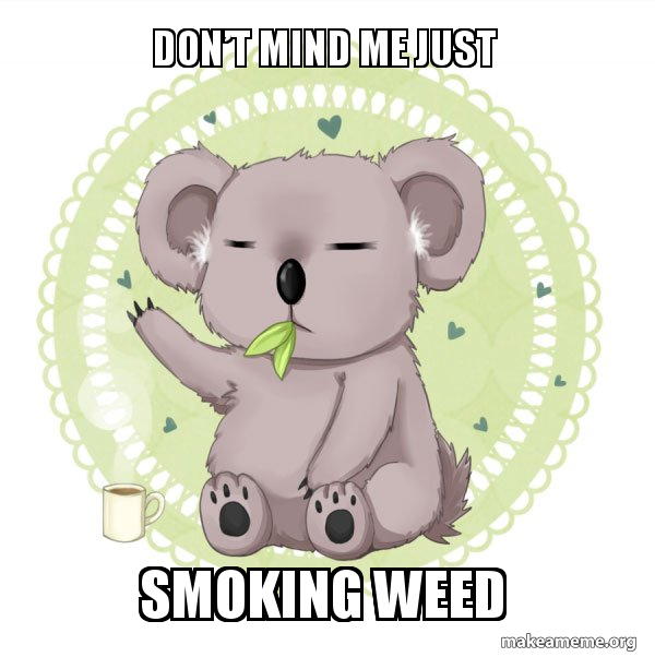Koala Weed Memes