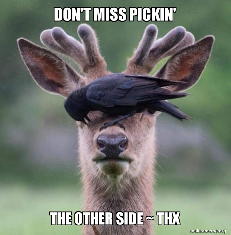 don't miss pickin' the other side ~ thx Meme Generator