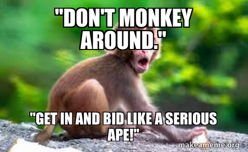 "Don't monkey around." "Get in and bid like a serious ape!" Meme Generator