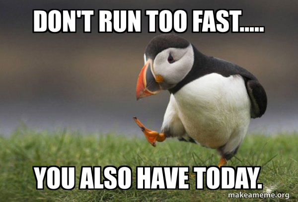 Don't run too fast..... You also have today. - Unpopular Opinion Puffin ...