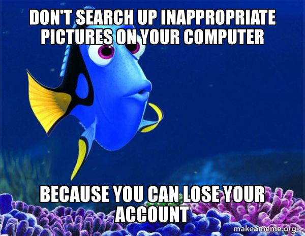 Don't search up inappropriate pictures on your computer Because you can ...