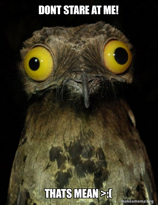 Dont stare at me! thats mean >:( - Weird Stuff I do Potoo Meme Generator