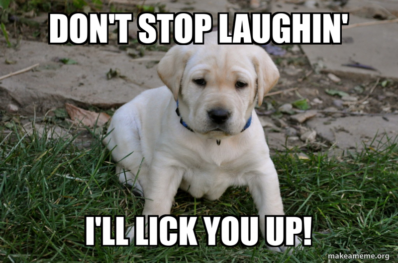 don't stop laughin' i'll lick you up! Meme Generator