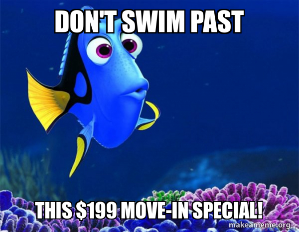 DON'T SWIM PAST THIS $199 MOVE-IN SPECIAL! - Dory from Nemo (5 second ...