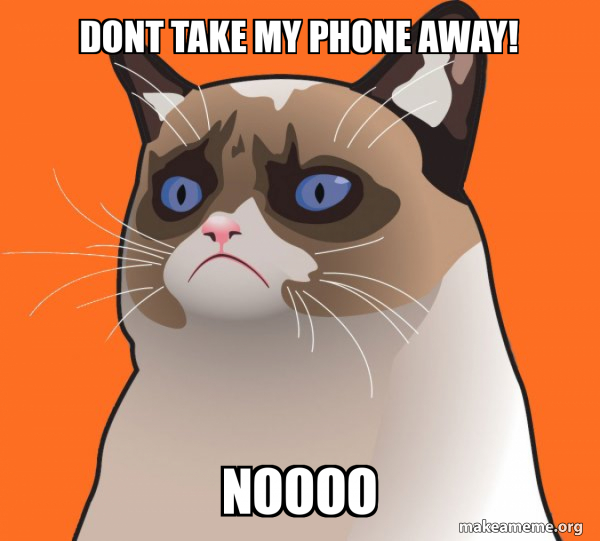 Dont take my phone away! Noooo - Cartoon Grumpy Cat Meme Generator
