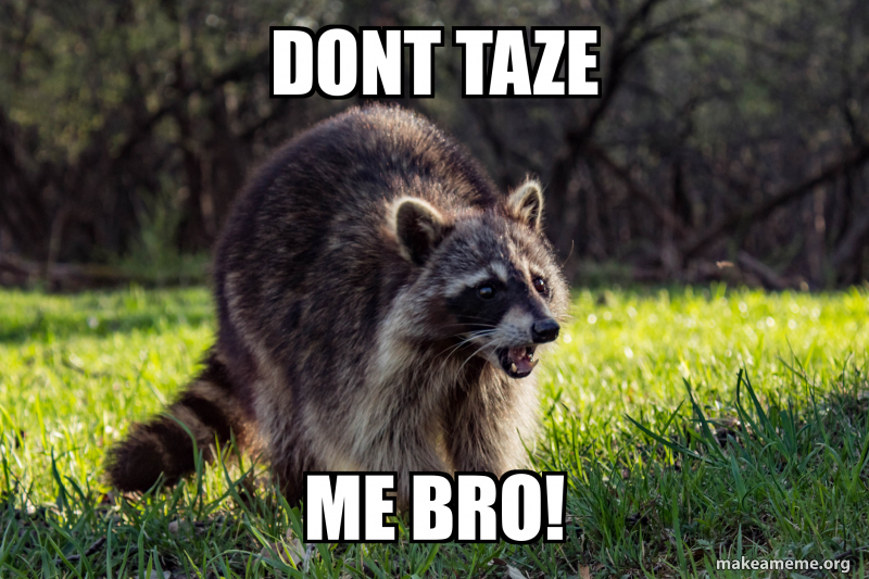 Dont taze Me bro! Meme Generator