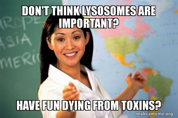 Lysosome Memes