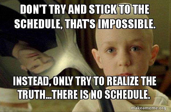 Don't try and stick to the schedule, that's impossible. Instead, only ...