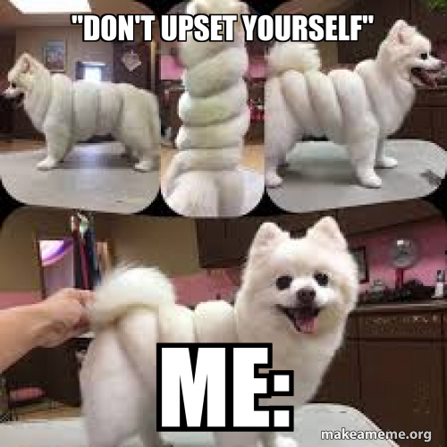 "don't upset yourself" me: Meme Generator