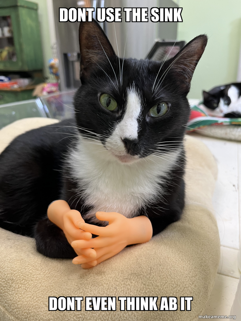 Dont use the sink Dont even think ab it Meme Generator