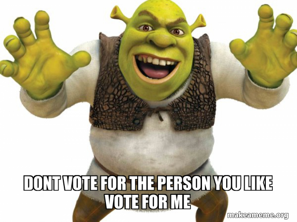 Dont vote for the person you like vote for me - Shrek Meme Generator